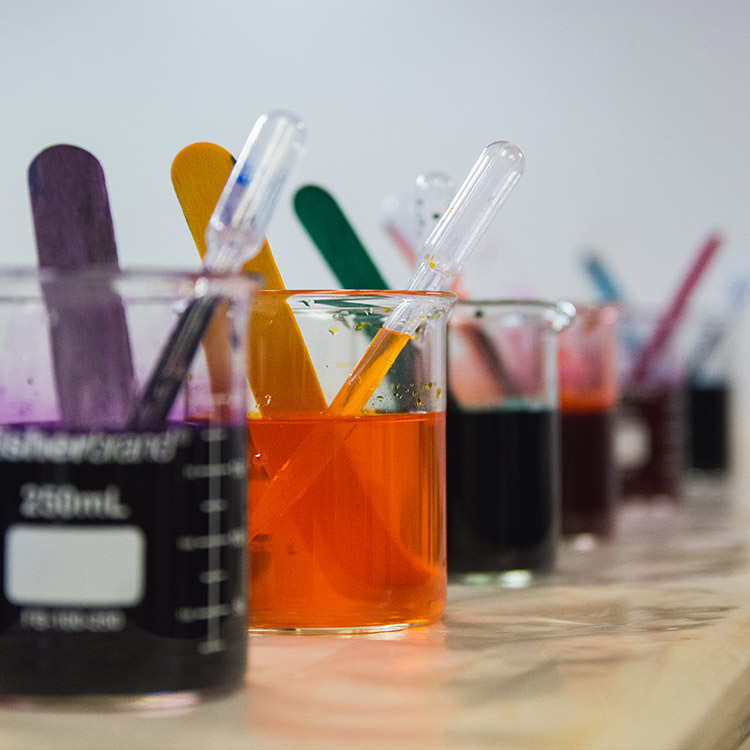 Abbey Color - The 412 Crew